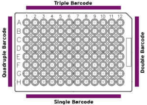 barcode-positions2